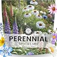 Amazon.com: Hummingbird Butterfly Mix - Large 1 Ounce Packet - 7,500 ...