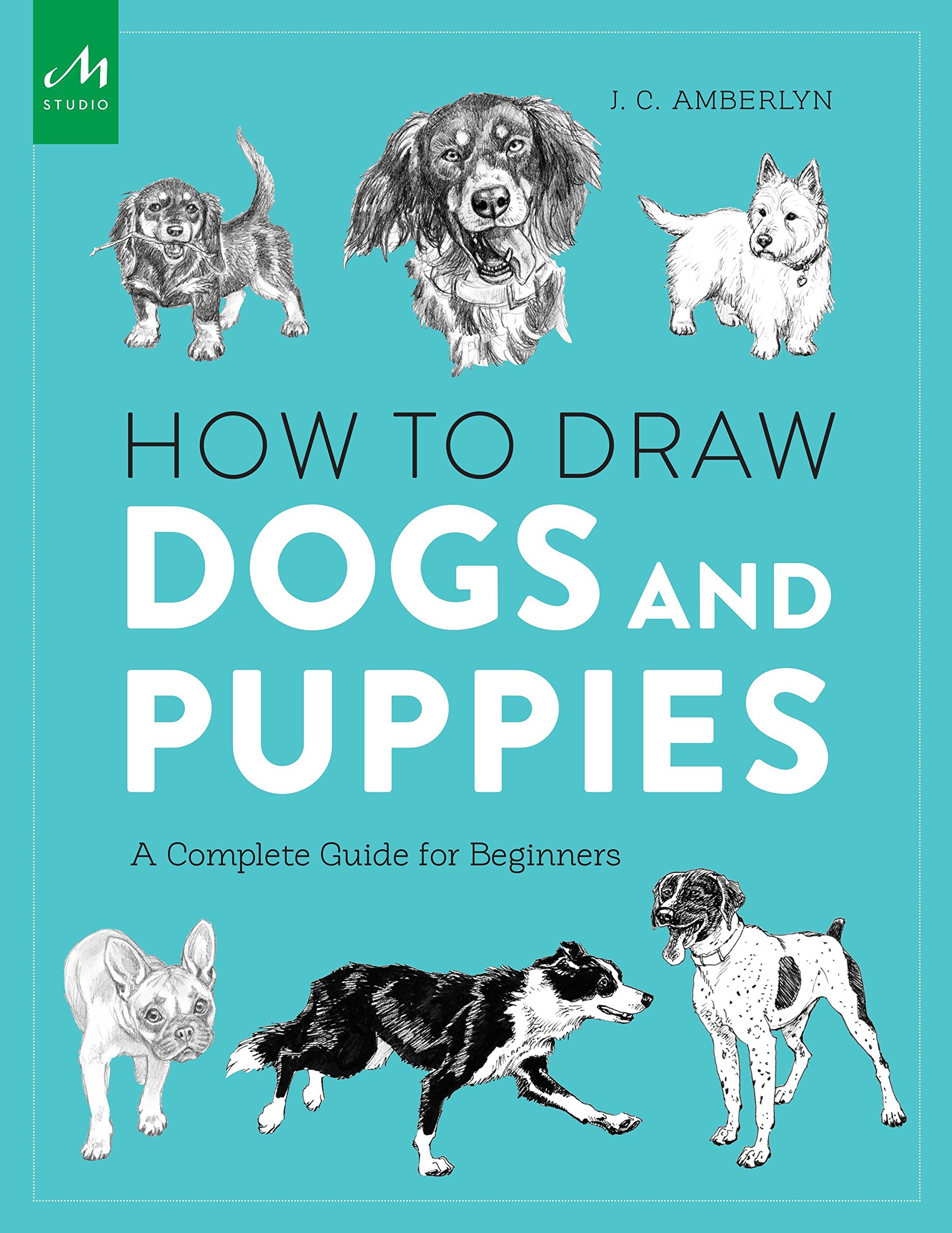 Pictures Of Dogs To Draw
