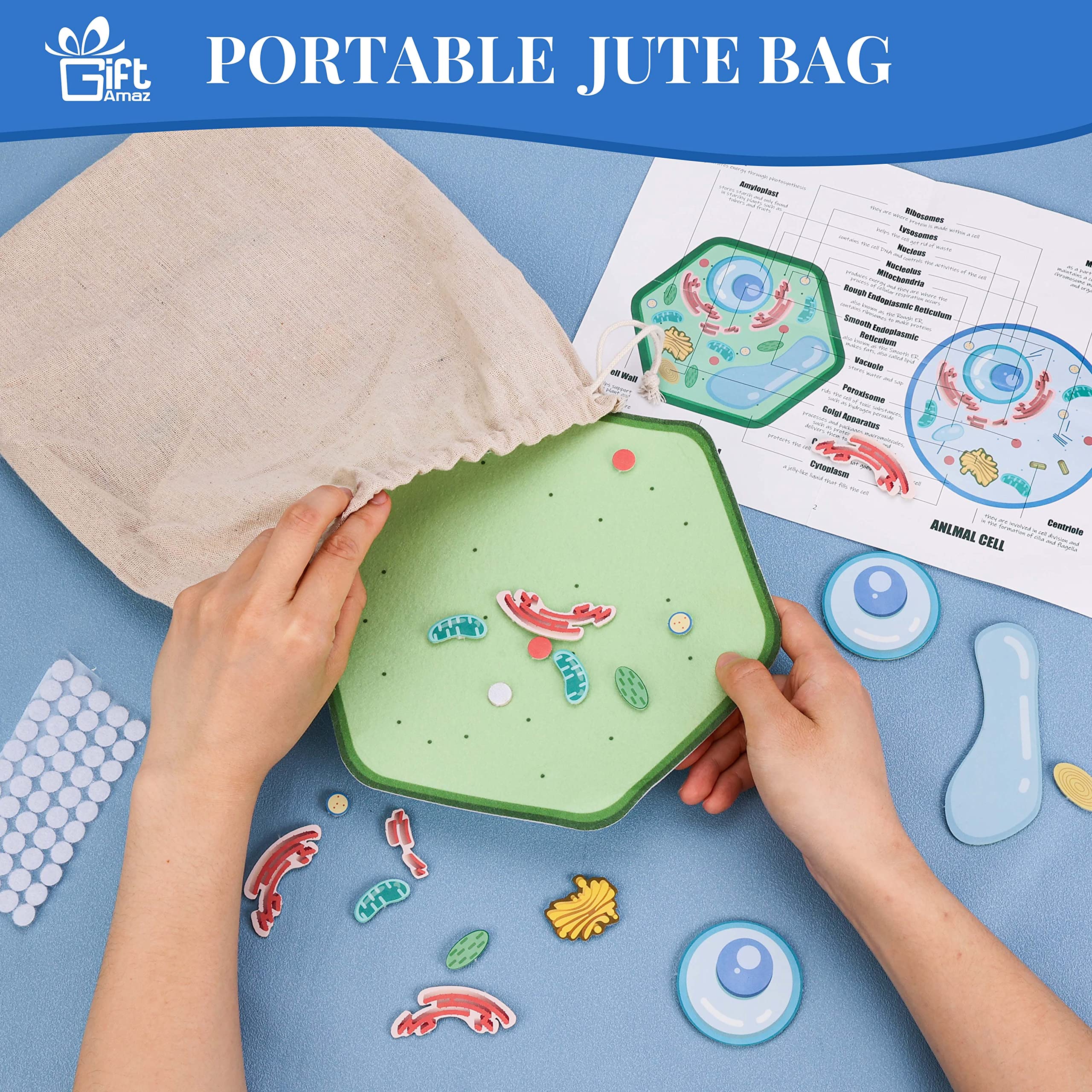 Mua Animal and Plant Cell Anatomy Model, Soft Felt Toy, Early Cell ...