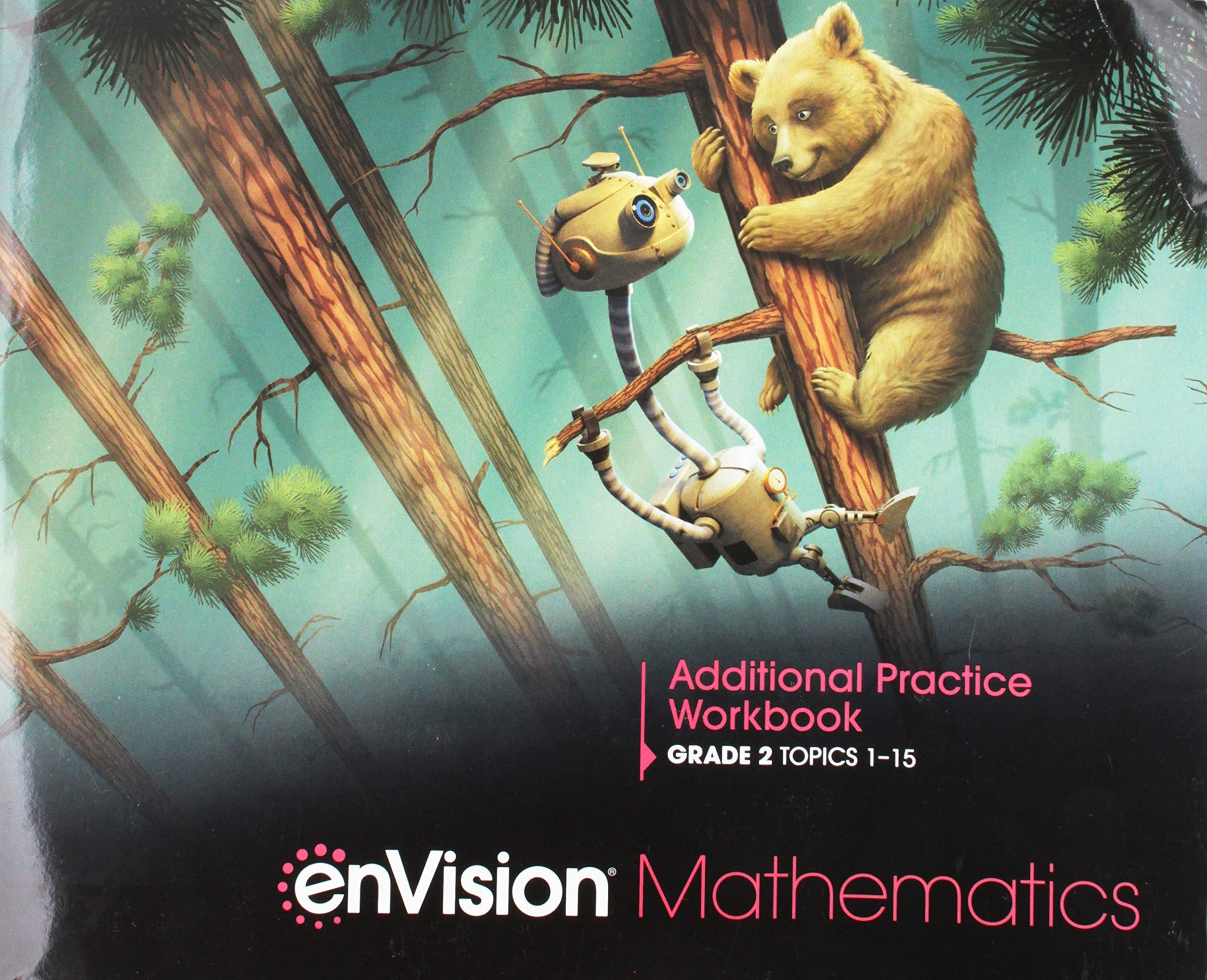 Mua ENVISION MATHEMATICS 2020 ADDITIONAL PRACTICE WORKBOOK GRADE 2 trên ...