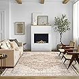Amazon.com: BILEEHOME Boho Neutral Living Room Rug 5x7,Washable Vintage ...