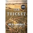 Amazon.com: Thicket: 9780316188449: Lansdale, Joe R.: Books
