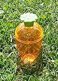 Amazon.com: Clear Orange Carrot Shaped Easter Eggs 3 Fillable Treat ...