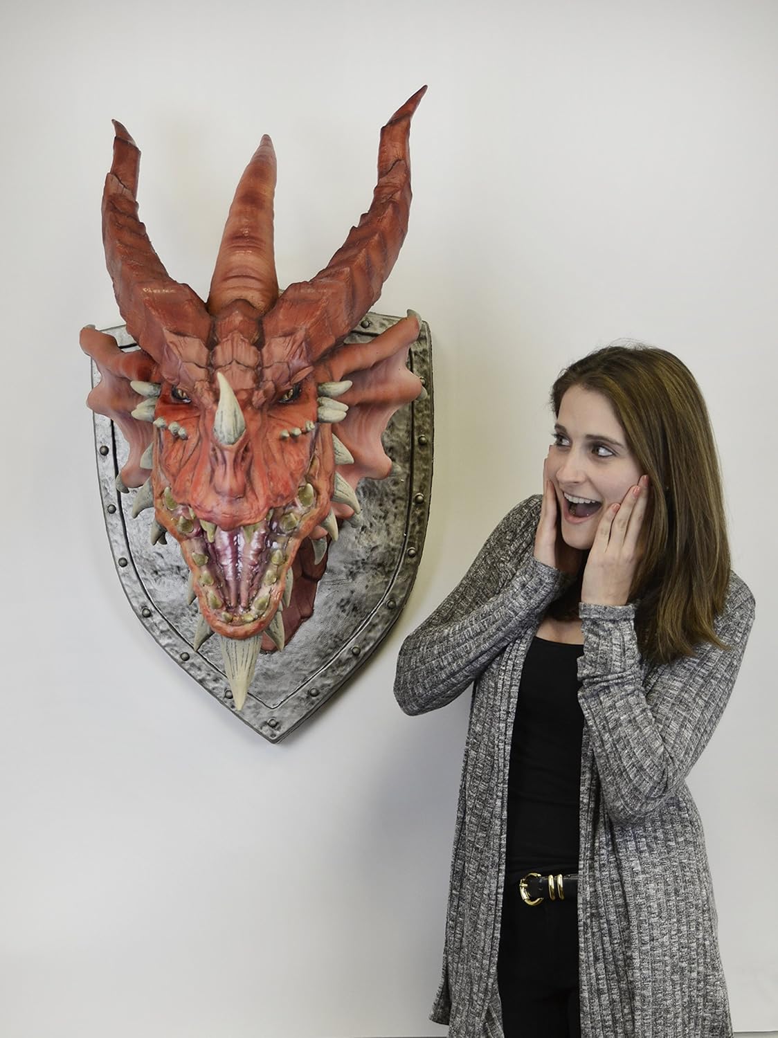 WizKids Dungeons & Dragons Red Dragon Trophy Plaque – BigaMart