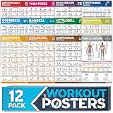 Vive Resistance Band Workout Poster - Laminated Bodyweight Hitt ...
