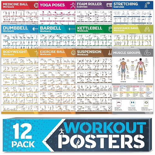 [12-PACK] Laminated Large Workout Poster Set - Perfect Workout Posters ...