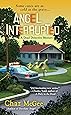 Amazon.com: Angel Interrupted (A Dead Detective Mystery) (9780425233146 ...