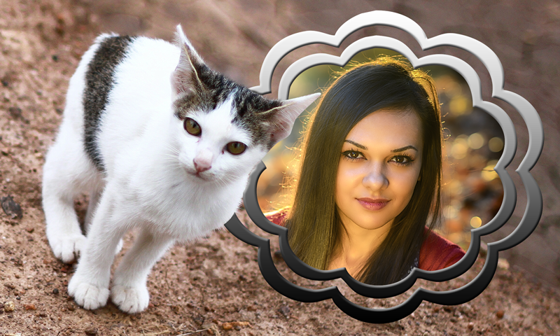 Animals Photo Frames:Amazon.com:Appstore for Android