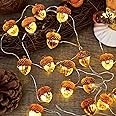 Amazon.com: Thanksgiving Décor 3D Acorn Decorations Autumn Décor String ...
