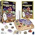 NATIONAL GEOGRAPHIC Gem Fossil Dig Kit - Mega Dig Kit for Kids with 10 ...