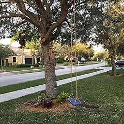 Amazon.com: Rustic Tree Swing. 12 Ft of Natural Rope & Easy Hanging ...