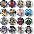 Amazon.com: MORCART 16PCS Owl Magnets for Fridge, Cute Refrigerator ...