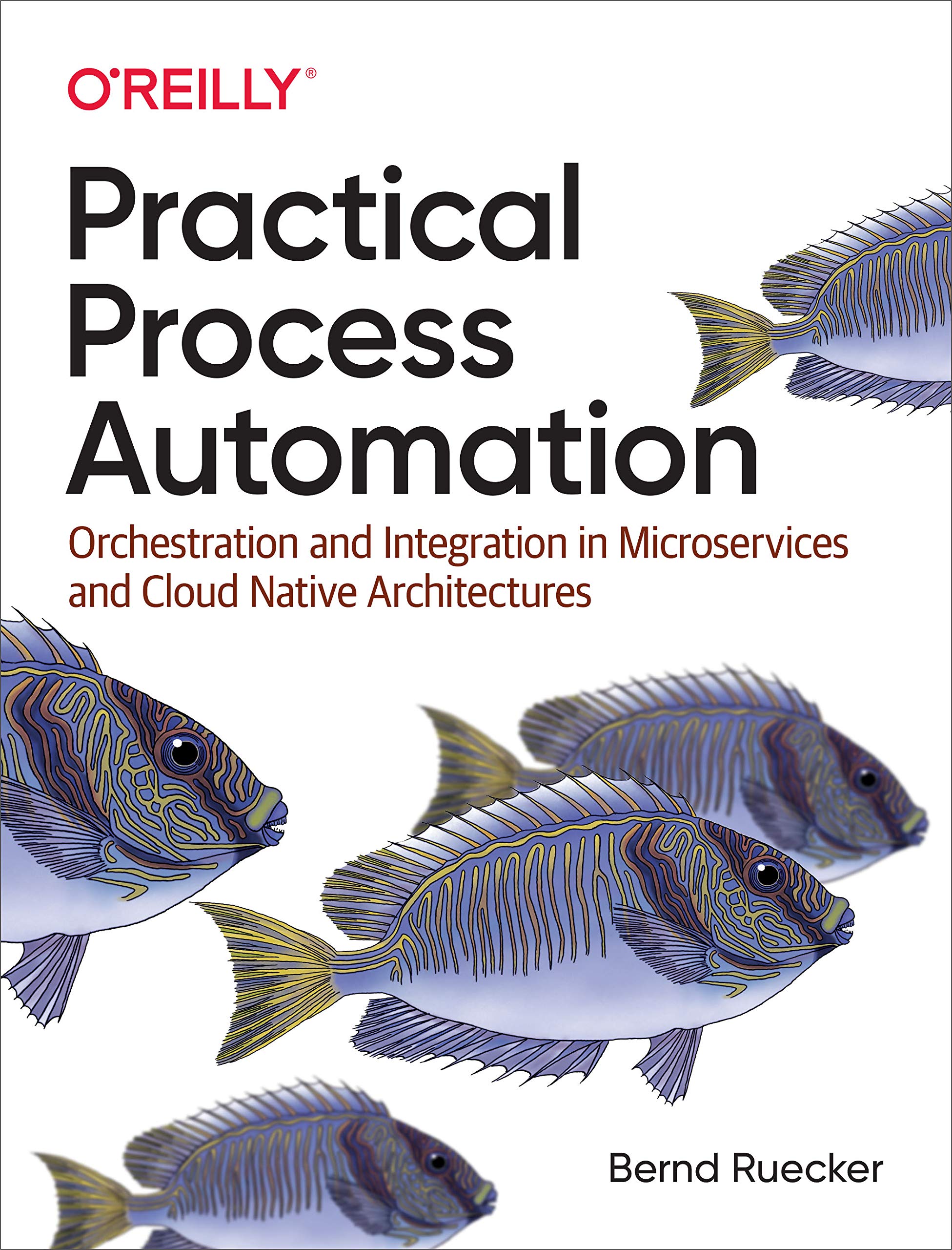 Mua Practical Process Automation: Orchestration and Integration in Microservices and Cloud ...