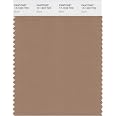PANTONE Smart 17-1322X Color Swatch Card, Burro - House Paint - Amazon.com