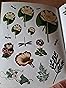 The Botanist's Sticker Anthology: DK: 9780744036725: Amazon.com: Books