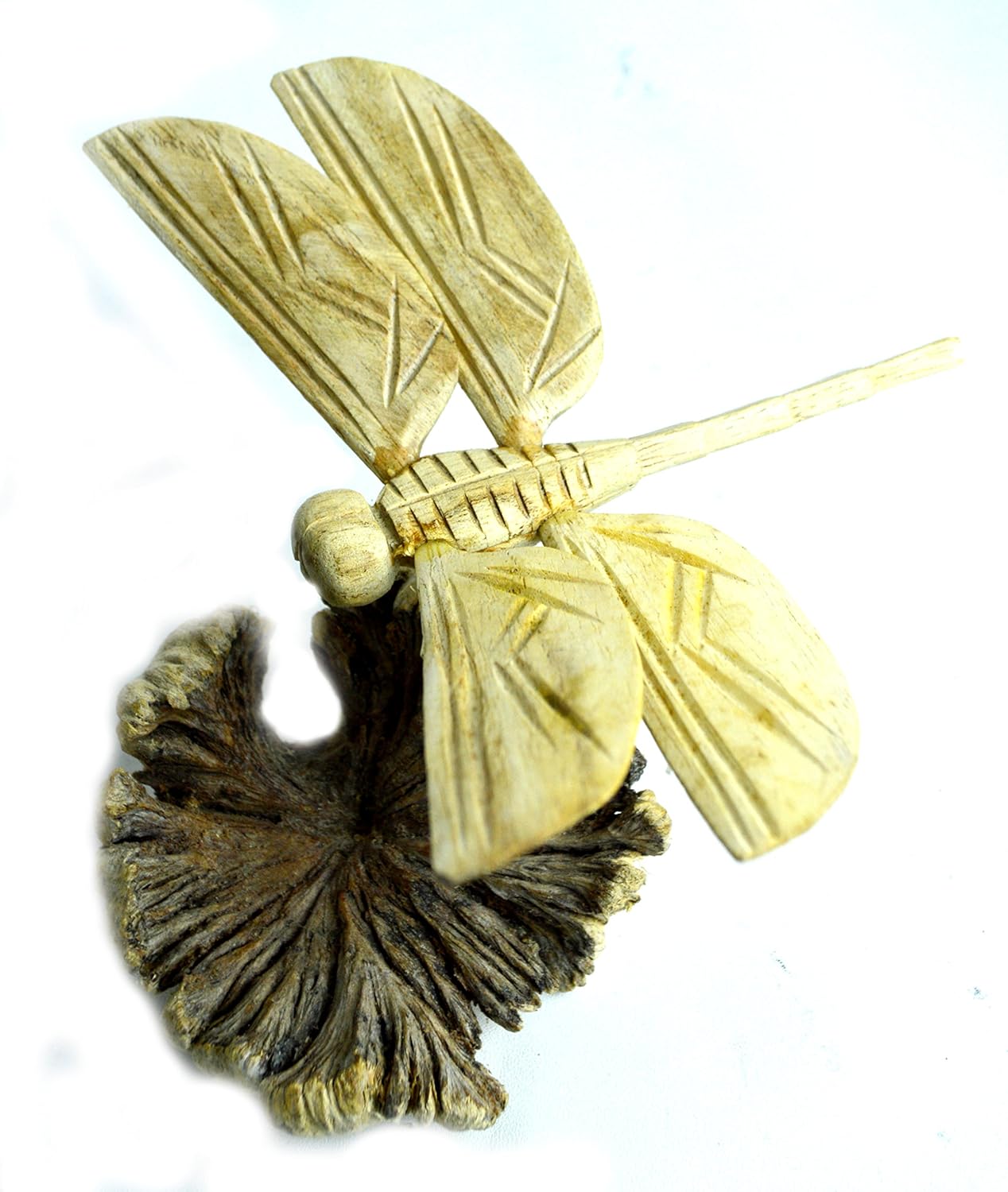 Amazon.com: Hand Carved Wood Dragonfly Art Tropical Nautical Decor ...