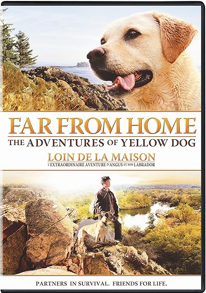 Far From Home: The Adventures of Yellow Dog Bilingual: Amazon.ca: DVD