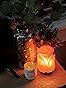 Amazon.com: Beautiful Flower Shape Himalayan Salt Lamp | Authentic and ...