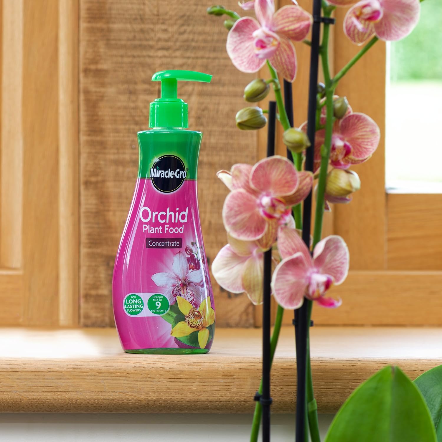 Miracle-Gro 100057 Orchid Concentrated Plant Food 236ml, Clear – BigaMart