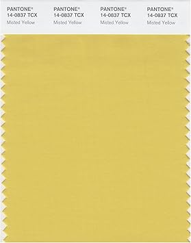 PANTONE Smart 14-0837X Color Swatch Card, Misted Yellow - House Paint ...