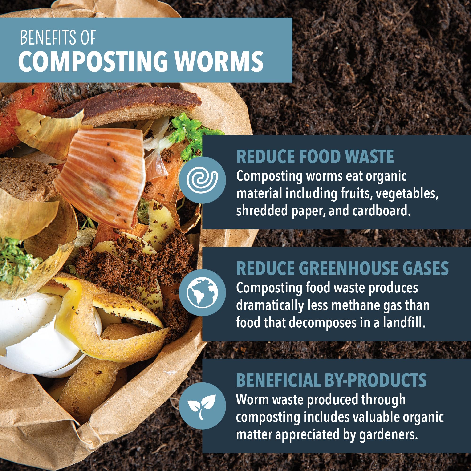 Mua Composting Worms – Live Red Wriggler Compost Worms Mix ...