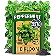 Amazon.com : HOME GROWN 𝗨𝗦𝗔 𝗣𝗥𝗘𝗠𝗜𝗨𝗠 Peppermint Seeds Pack – 2,370 𝗡𝗢𝗡 ...