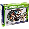 Amazon.com: 4D: Tarantula Spider Anatomy Model : Toys & Games