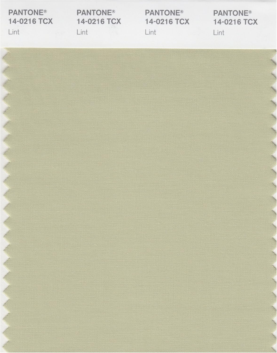 PANTONE Smart 14-0216X Color Swatch Card, Lint - House Paint - Amazon.com