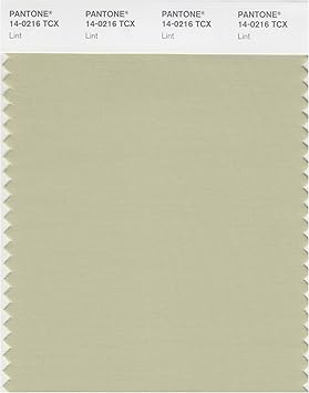 PANTONE Smart 14-0216X Color Swatch Card, Lint - House Paint - Amazon.com