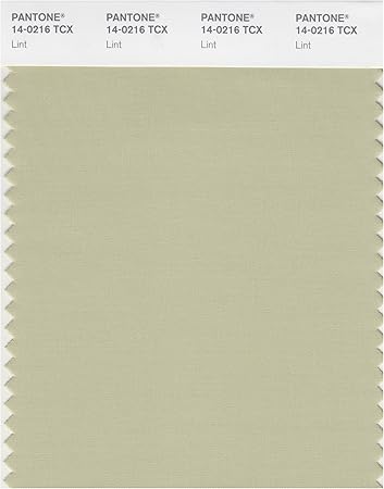 PANTONE Smart 14-0216X Color Swatch Card, Lint - House Paint - Amazon.com