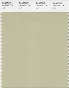 PANTONE Smart 14-0216X Color Swatch Card, Lint - House Paint - Amazon.com