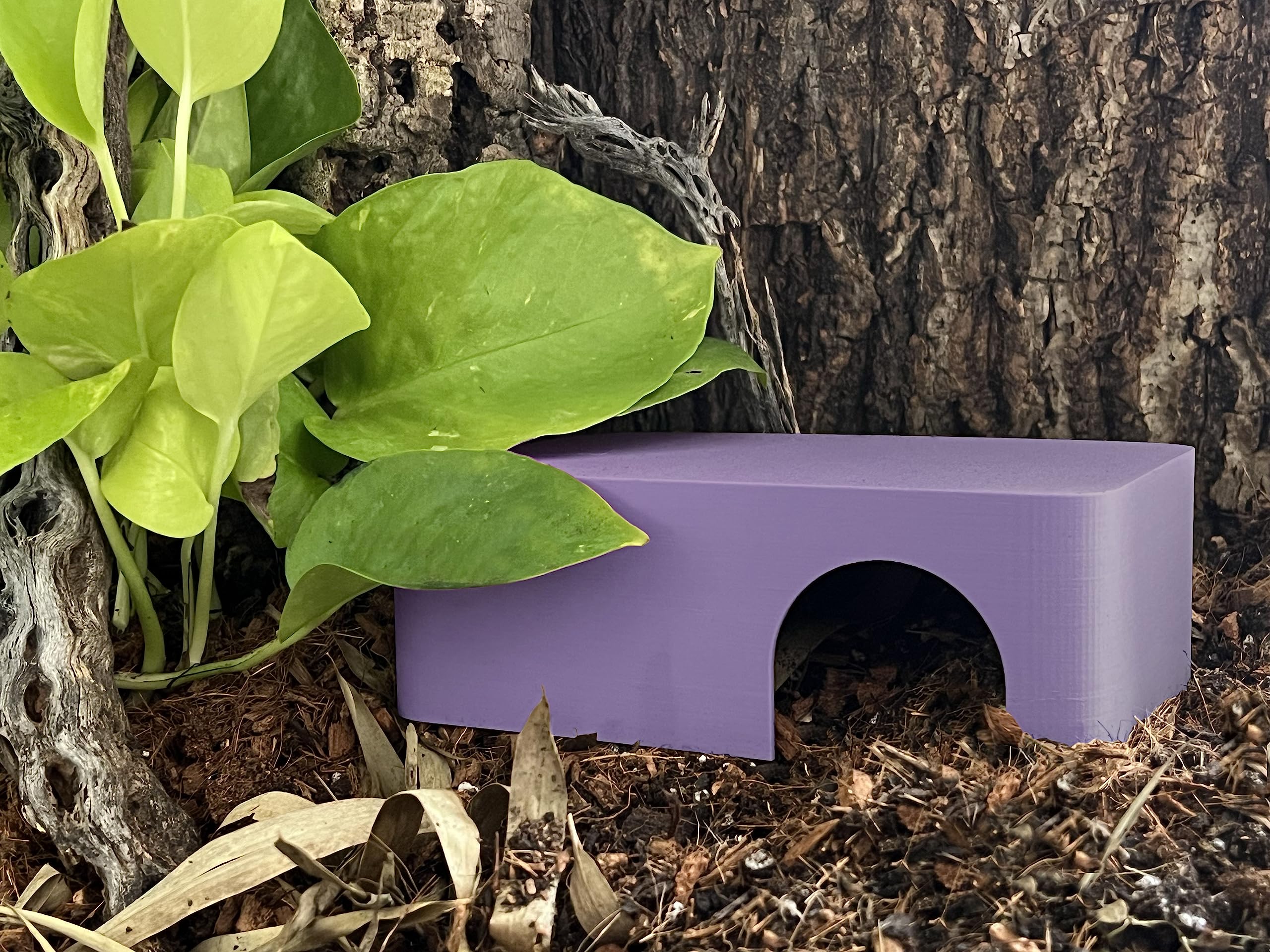 Mua Gondola Geckos Reptile Hide, 3in1 Hide Box, Humid Hide, Food Dish ...