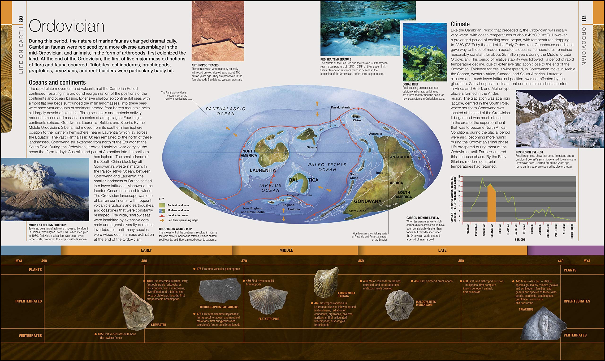 Mua Dinosaurs and Prehistoric Life: The Definitive Visual Guide to ...