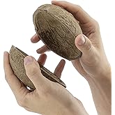 Amazon.com: Toy Vault Monty Python Black Knight Plush, Large Stuffed ...