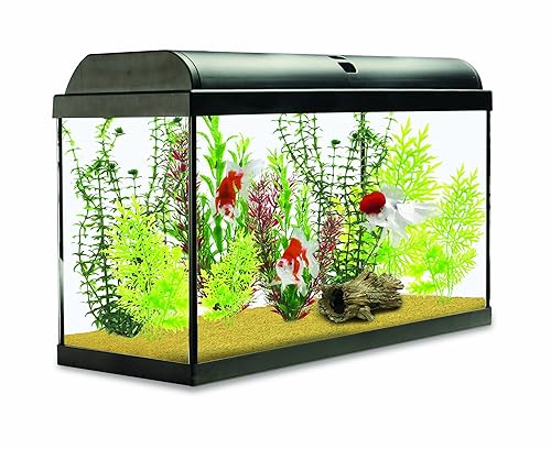 Interpet Fish Pod Glass Aquarium Fish Tank, 120 L: Amazon.co.uk: Pet ...