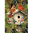 Amazon.com : Pine Tree Gathering - Garden Size 12 Inch X 18 Inch ...