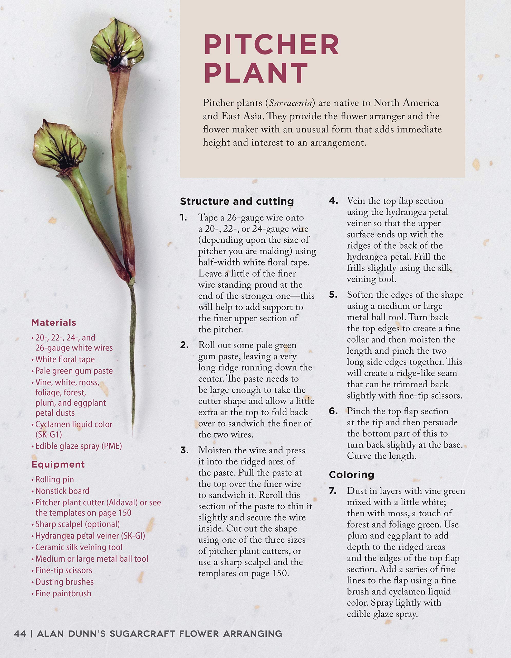 Mua Alan Dunn's Sugarcraft Flower Arranging: A Step-by-Step Guide to ...