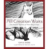 Amazon.com: All Creation Waits ― Children's Edition: The Advent Mystery ...