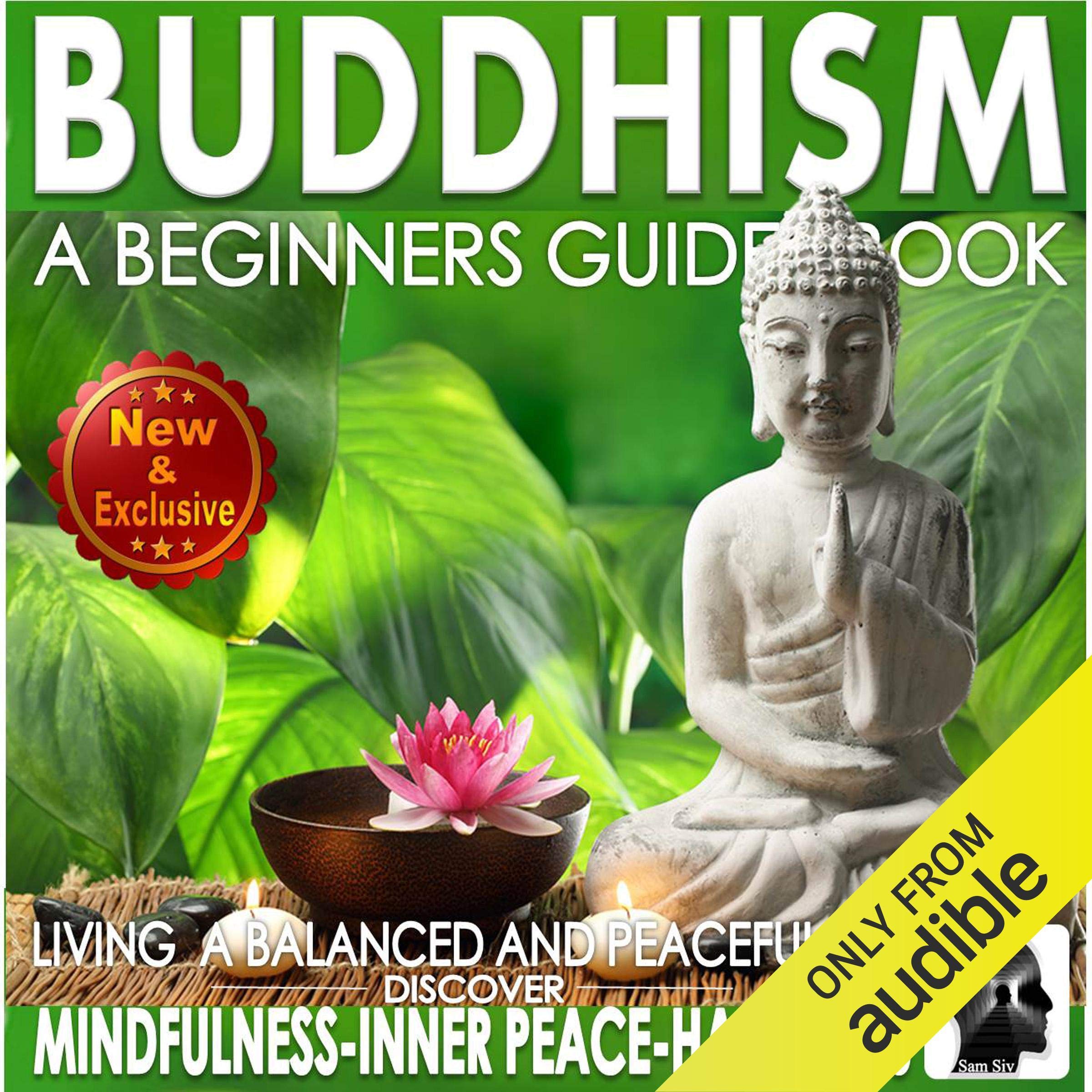 Buddhism: A Beginners Guide Book For True Self Discovery And Living A ...