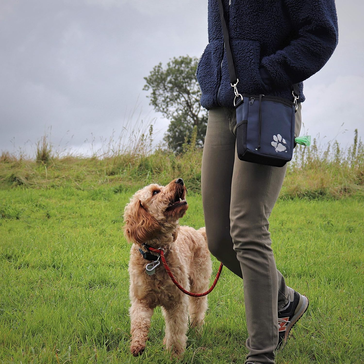 PET IMPACT Dog Treat Pouch, Dog Walking Bag for All Your Essential ...