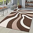 Amazon.com: Paco Home Brown Beige Area Rug with Modern Wave Pattern ...