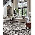 Amazon.com: BEIMO Area Rugs for Living Room 8x10 Machine Washable Rug ...