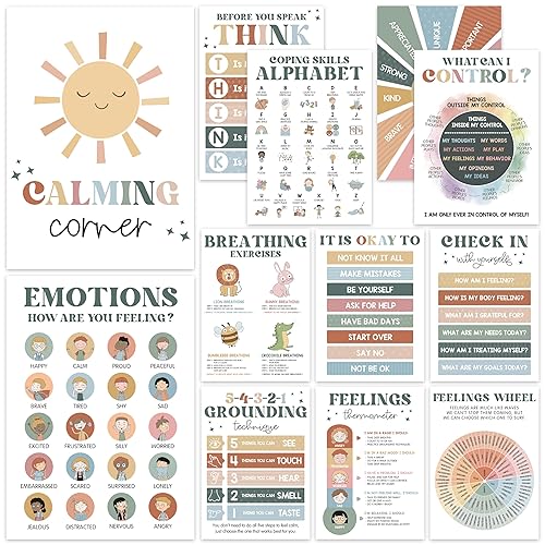 12 Retro Calming Corner Classroom Posters (10x14) - Feelings Wheel ...