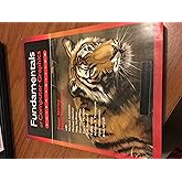 Fundamentals of Computer Graphics: 9781482229394: Computer Science Books @ Amazon.com