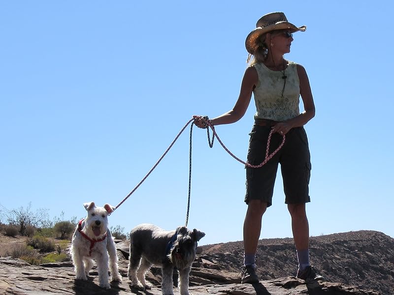 Skinwalkers Shapeshifters and Native American Curses - Kindle edition ...