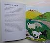 What to Look For in Spring: A Ladybird Book : Jenner, Elizabeth, Durley ...