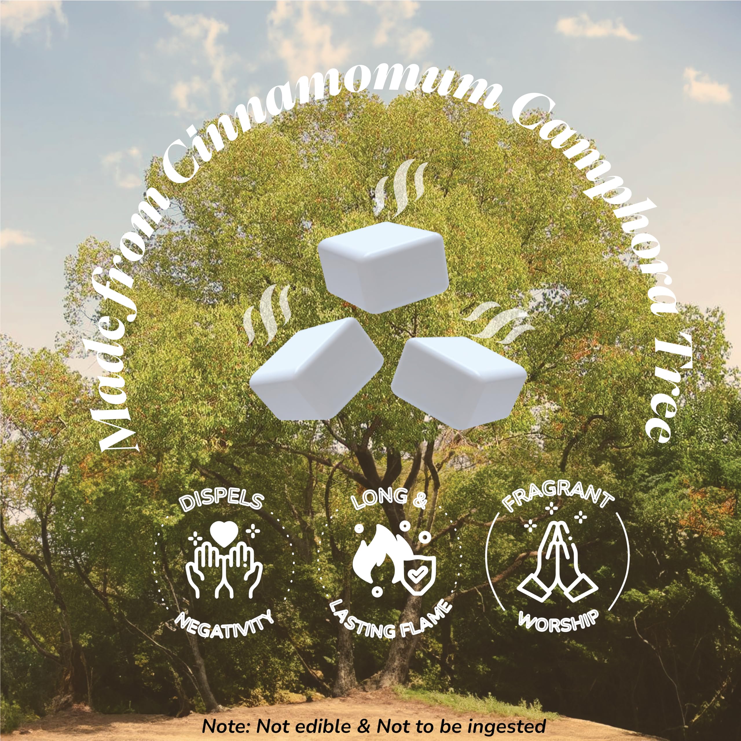 Mua Smokeless Indian Camphor Blocks Refined - for Worship (16 Camphor ...