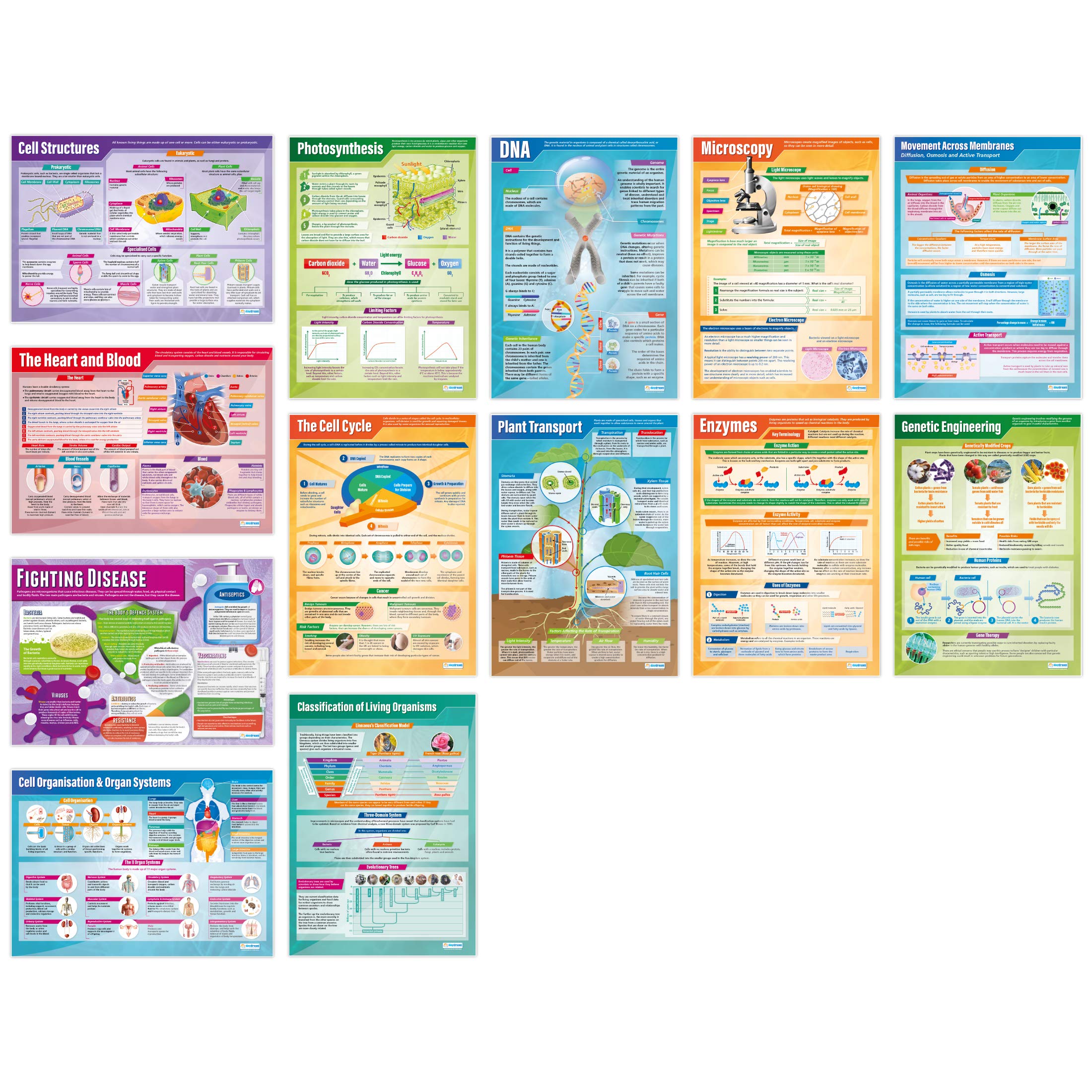 Mua Biology Science Posters - Set of 13 - EXTRA LARGE 33" x 23.5 ...