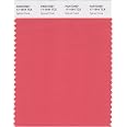 PANTONE Smart 17-1644X Color Swatch Card, Spiced Coral - House Paint ...