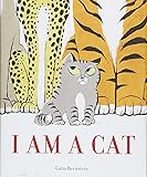 Amazon.com: Baby Monkey, Private Eye (9781338180619): Brian Selznick ...